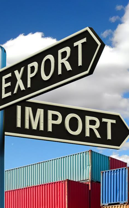 IOR/EOR | Transport Partner Limited (TPL)